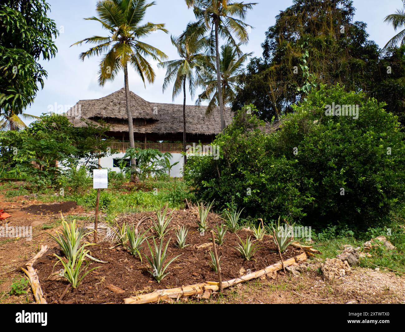 Poverty patch hi-res stock photography and images - Alamy