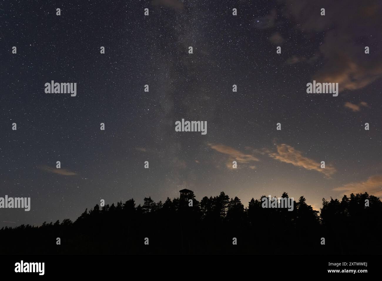 Estonia nature, night scene, milky way and stars over forest and ...