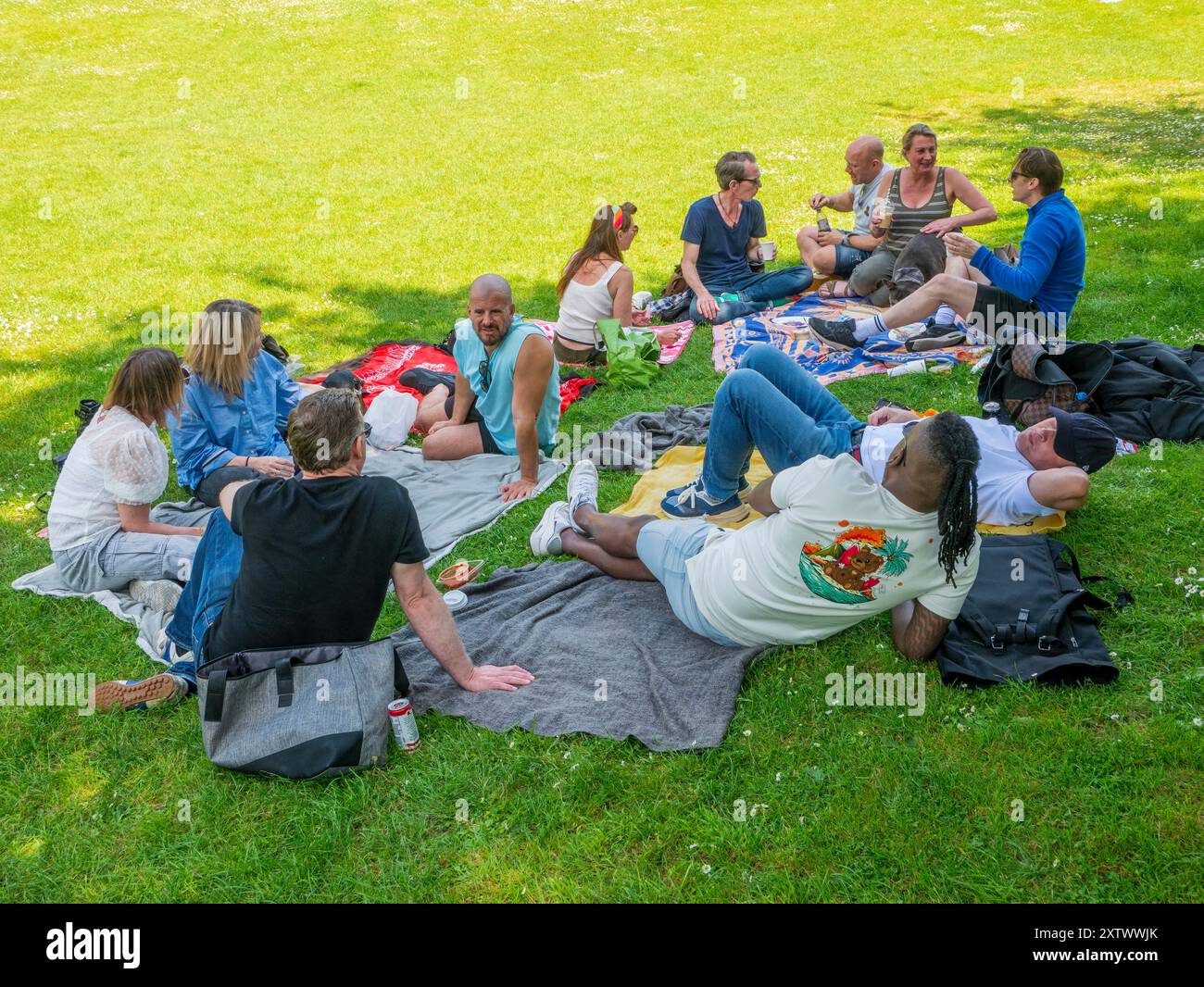 Group enjoys picnic in park hi-res stock photography and images - Alamy
