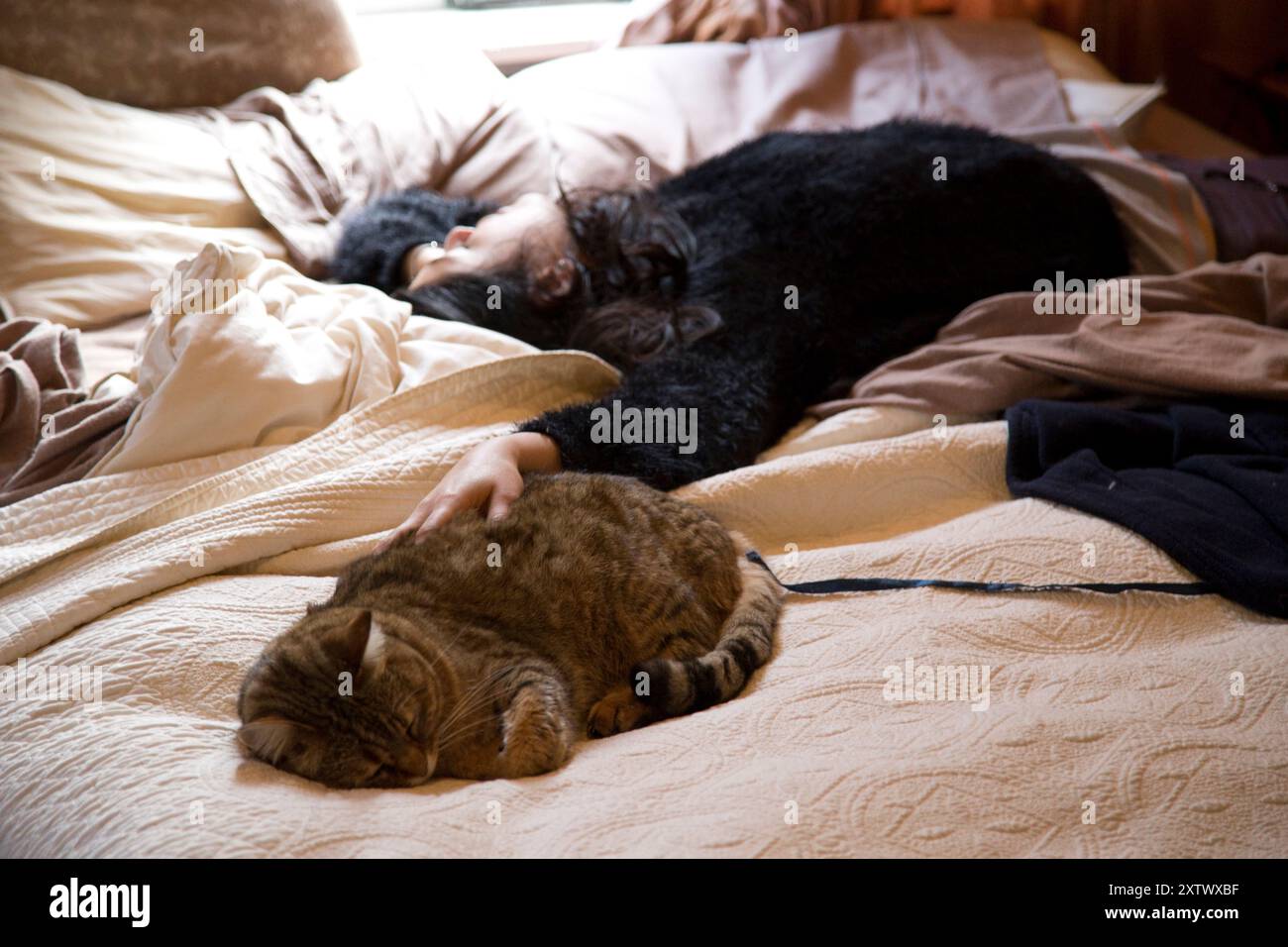 A young woman naps peacefully on a bed beside a black dog and a tabby ...