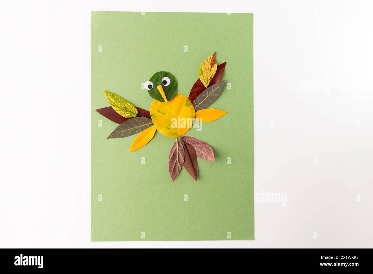 A creative craft project on a green background. Bird made from various ...