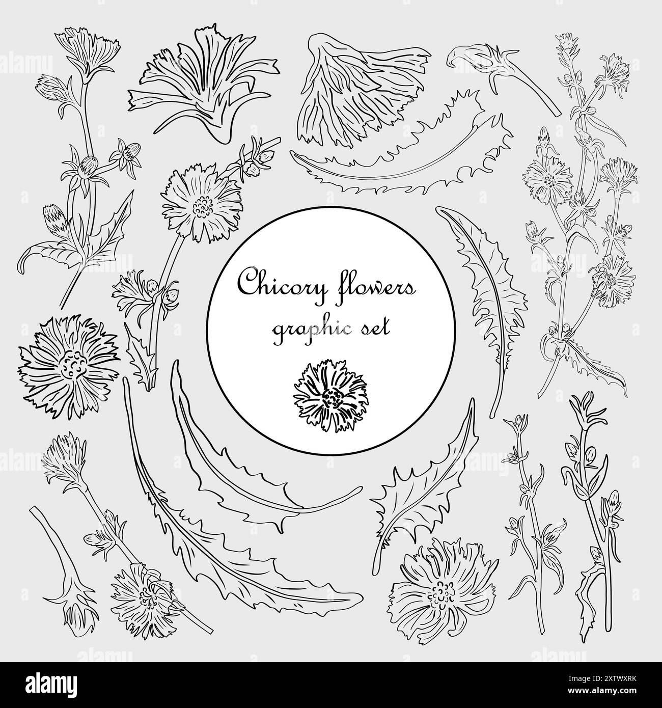 Wild plants silhouettes vector image hi-res stock photography and ...