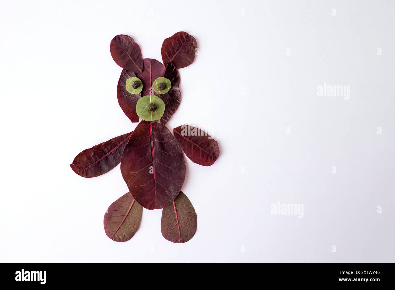 Teddy bear made of leaves on white surface, ecological art. Featuring ...