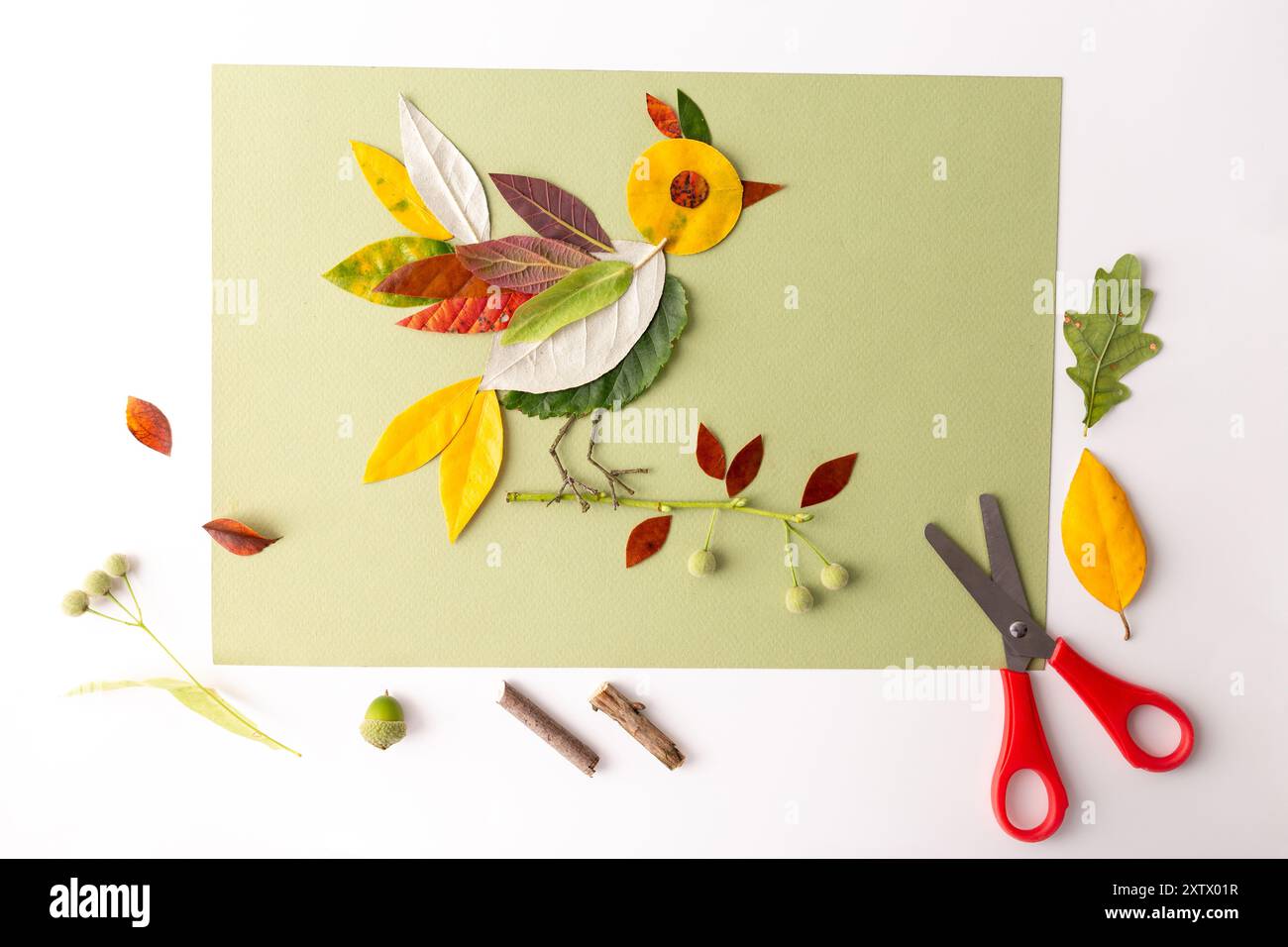 a craft project where various leaves and plant materials are arranged ...