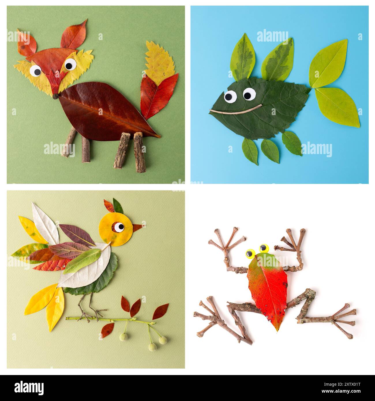 Wildlife education materials Cut Out Stock Images & Pictures - Alamy