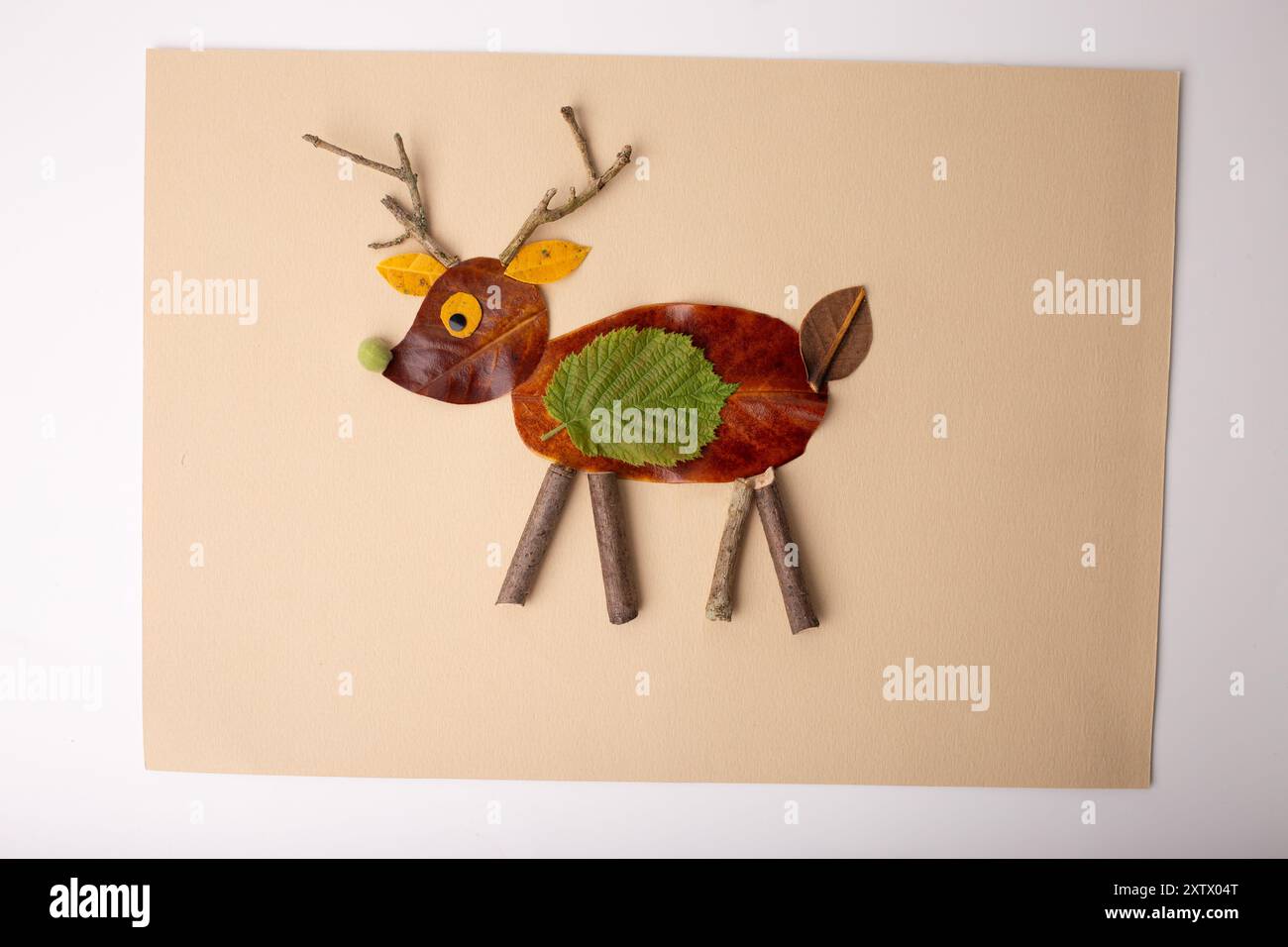 Artistic representation of natural flora hi-res stock photography and ...