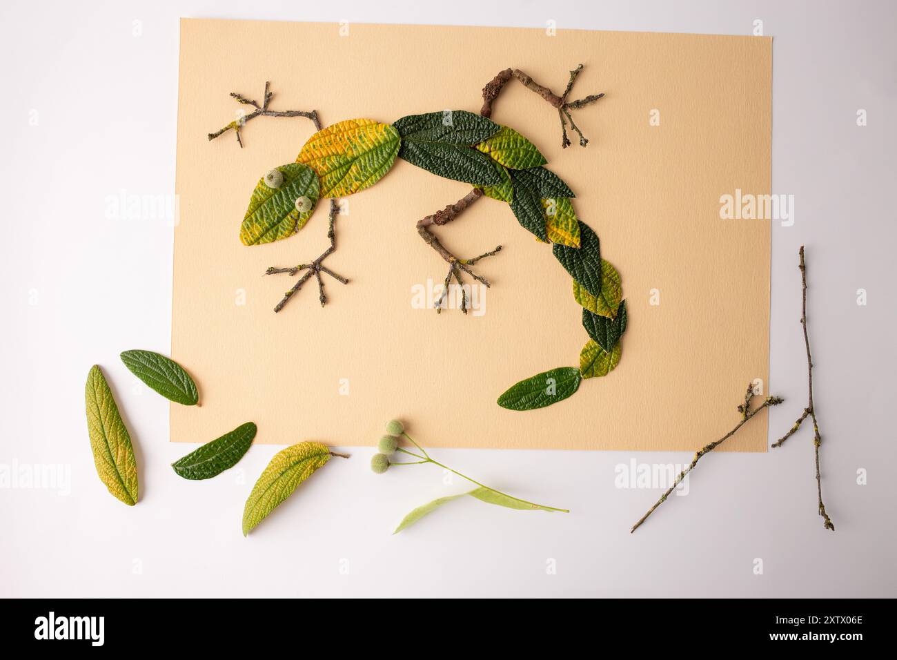 a creative representation of a lizard made using natural materials on a ...