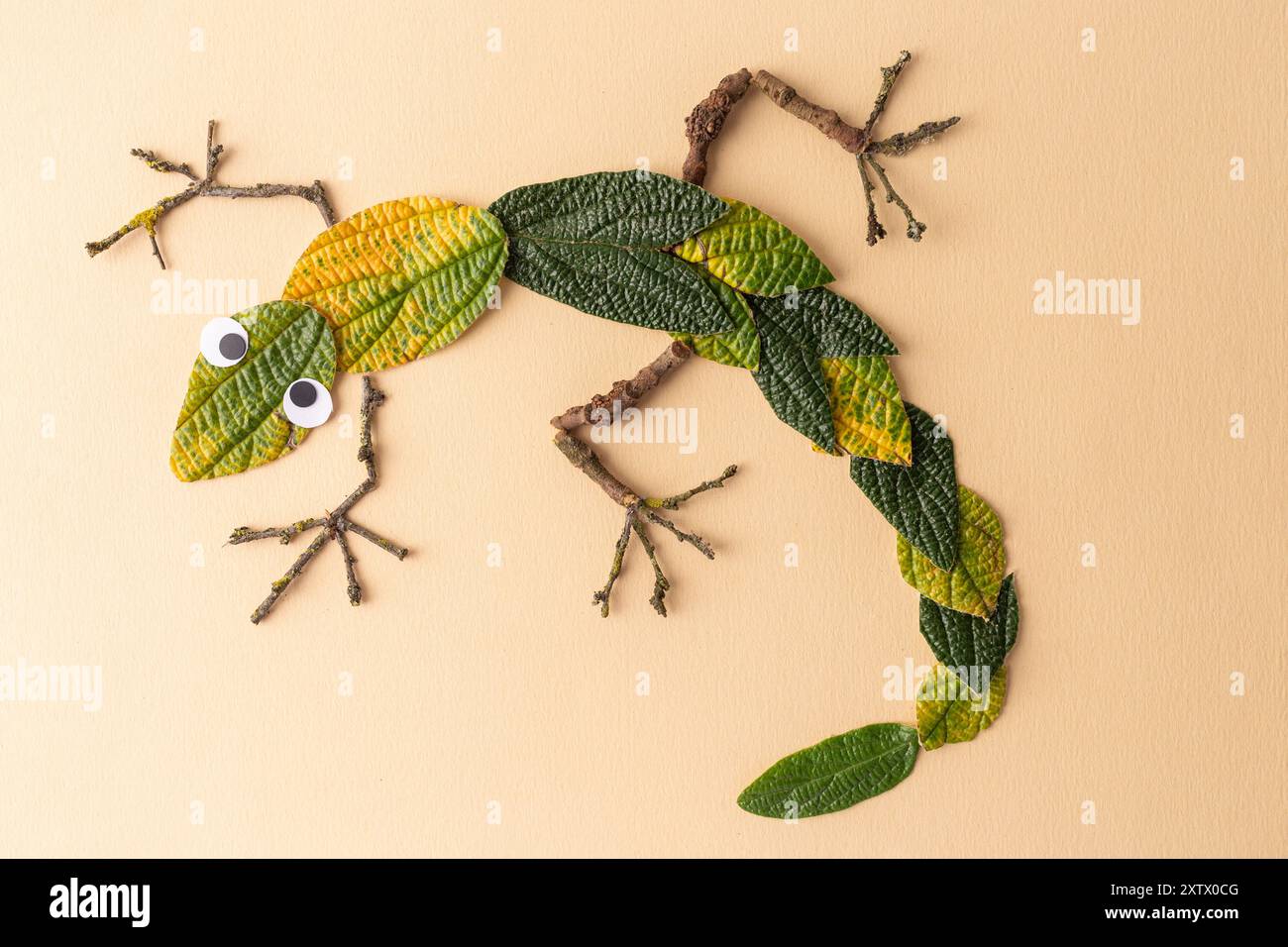 A creative representation of a lizard made using natural materials on a ...