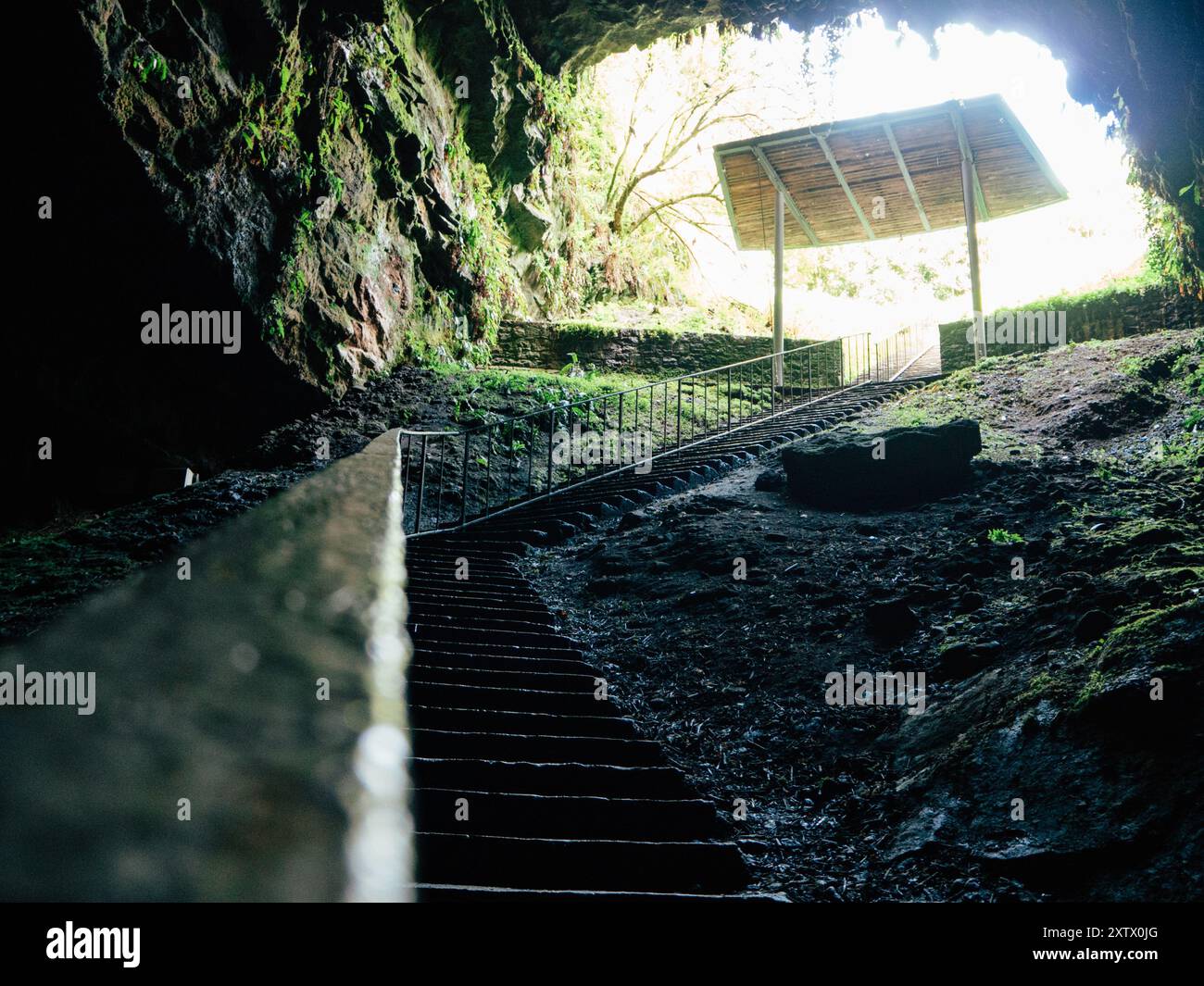 A steep set of wooden steps rises from the dark depths of a nature cave ...