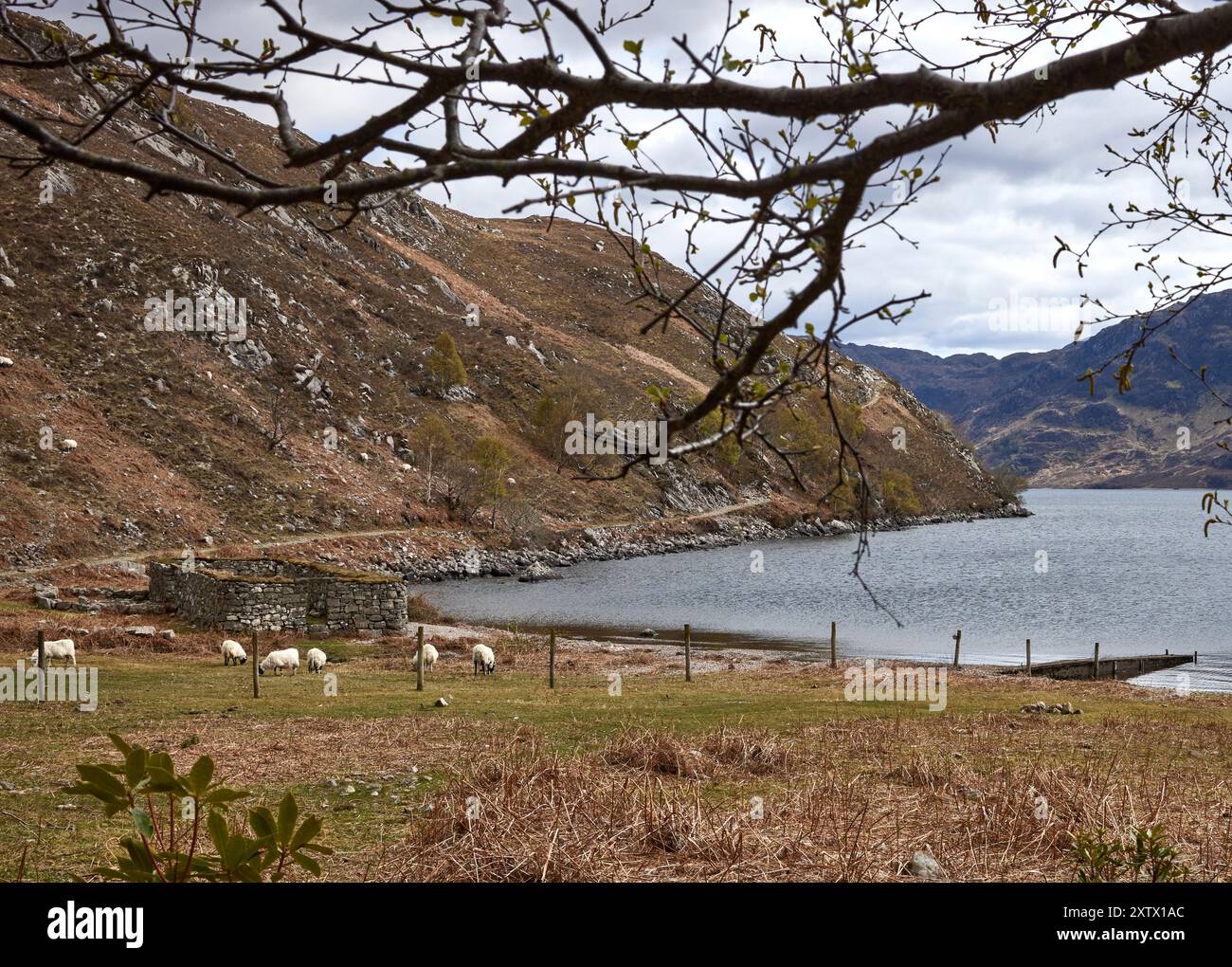 Resting on the shore of Loch Morar, the well kept and roofless remains ...