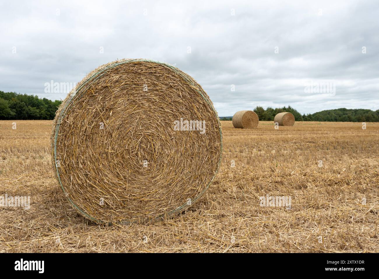 Rolled up hay bails in the English countryside Stock Photo - Alamy