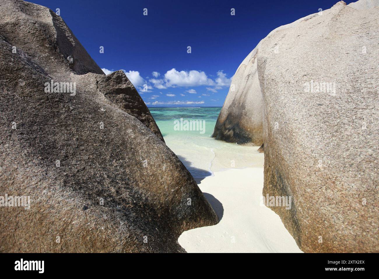 La Digue, Palm tree beach, Seychelles, Indian Ocean, Palm trees, La ...
