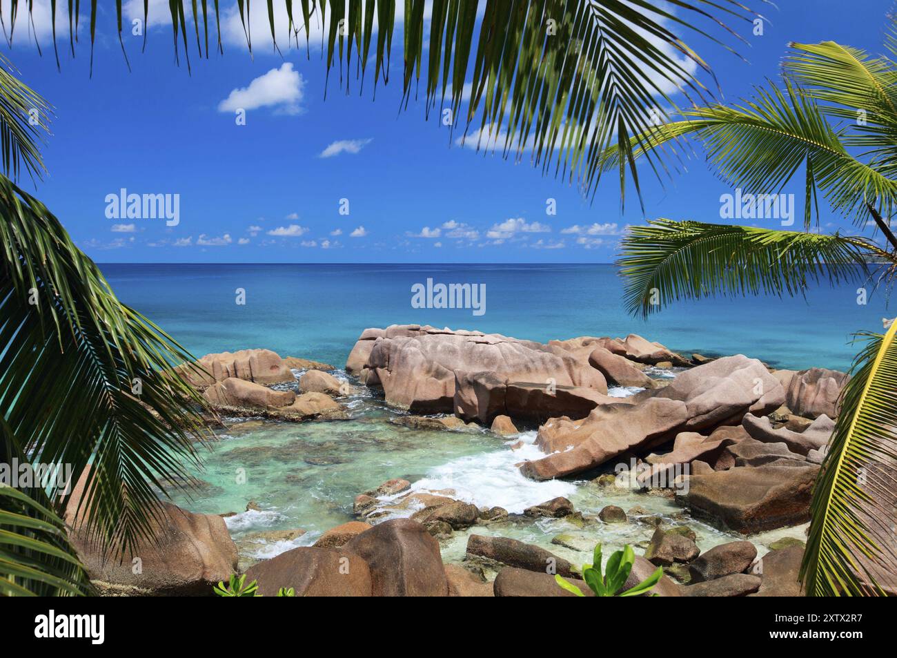 La Digue, Palm tree beach, Seychelles, Indian Ocean, Palm trees, La ...