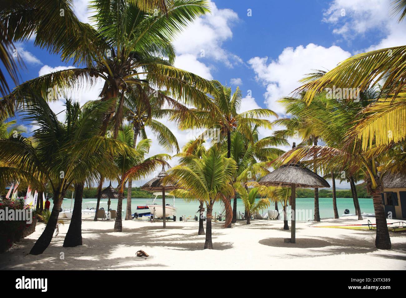Africa, Mauritius, A beautiful beach with Palm trees on the island of ...