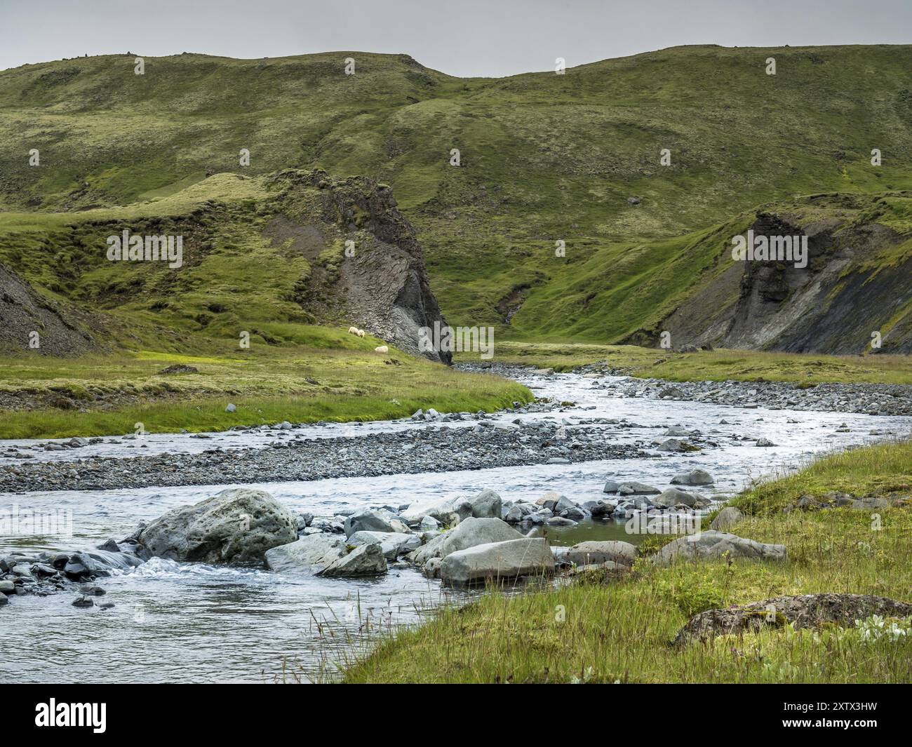 Green river meander hi-res stock photography and images - Alamy