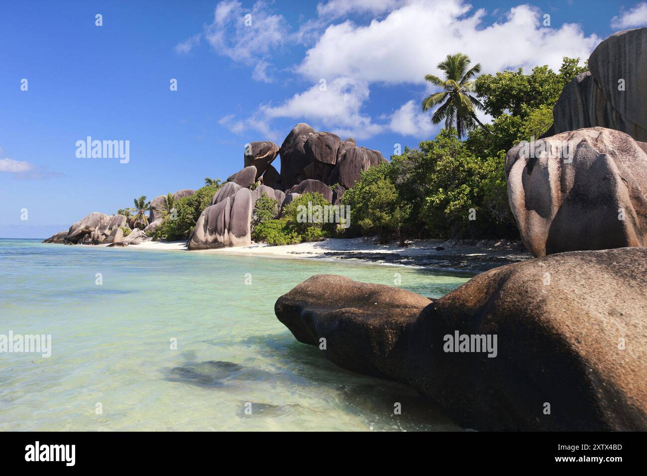 La Digue, Palm tree beach, Seychelles, Indian Ocean, Palm trees, La ...