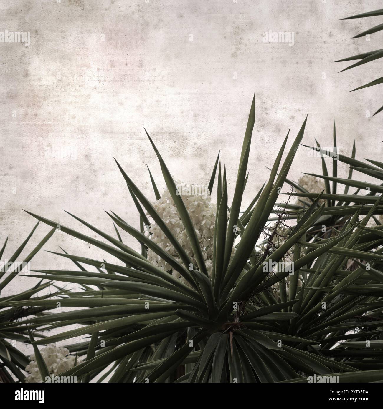 textured stylish old paper background, square Stock Photo - Alamy