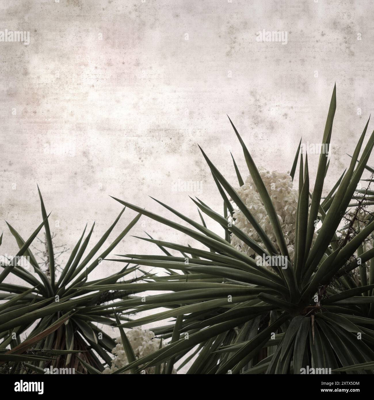 textured stylish old paper background, square Stock Photo - Alamy