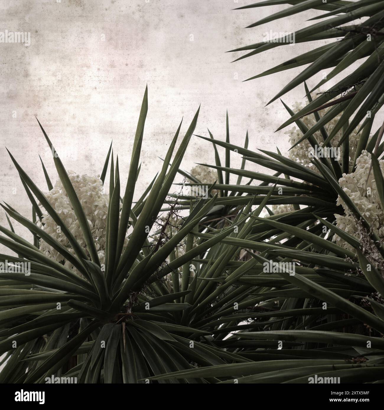 textured stylish old paper background, square Stock Photo - Alamy