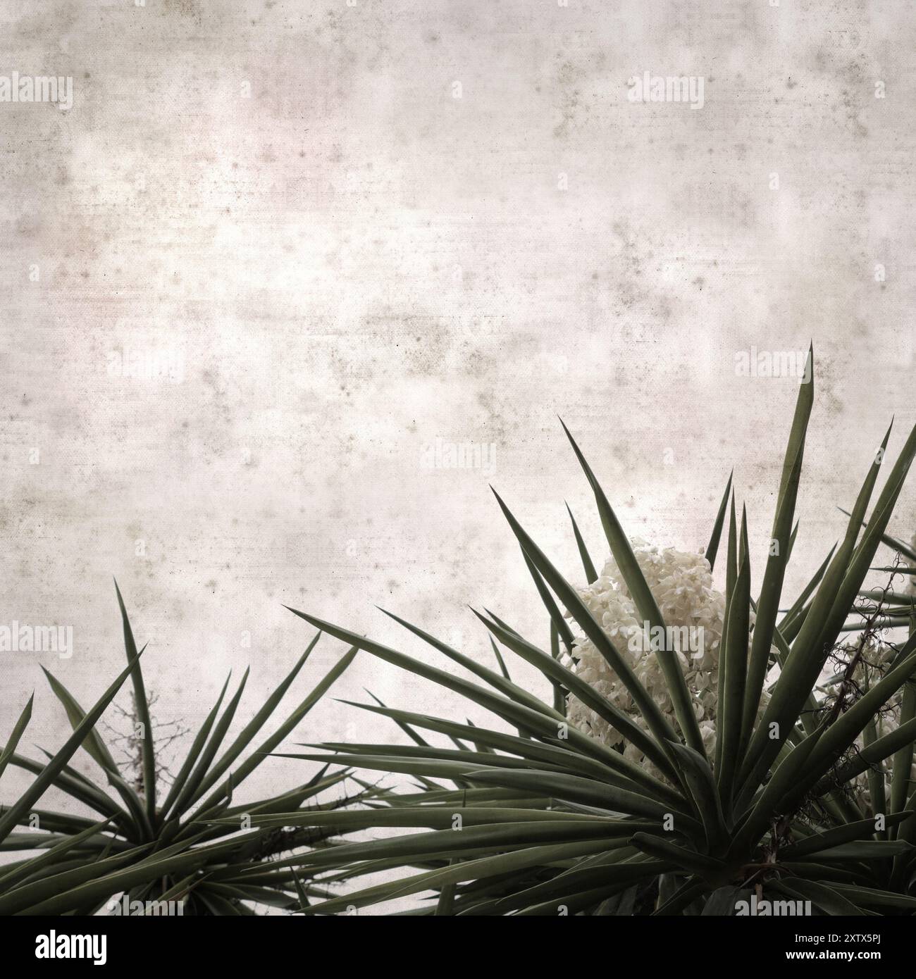 textured stylish old paper background, square Stock Photo - Alamy