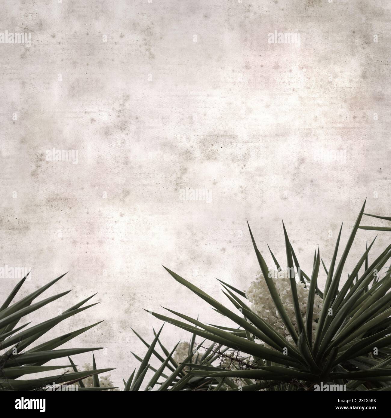 textured stylish old paper background, square Stock Photo - Alamy