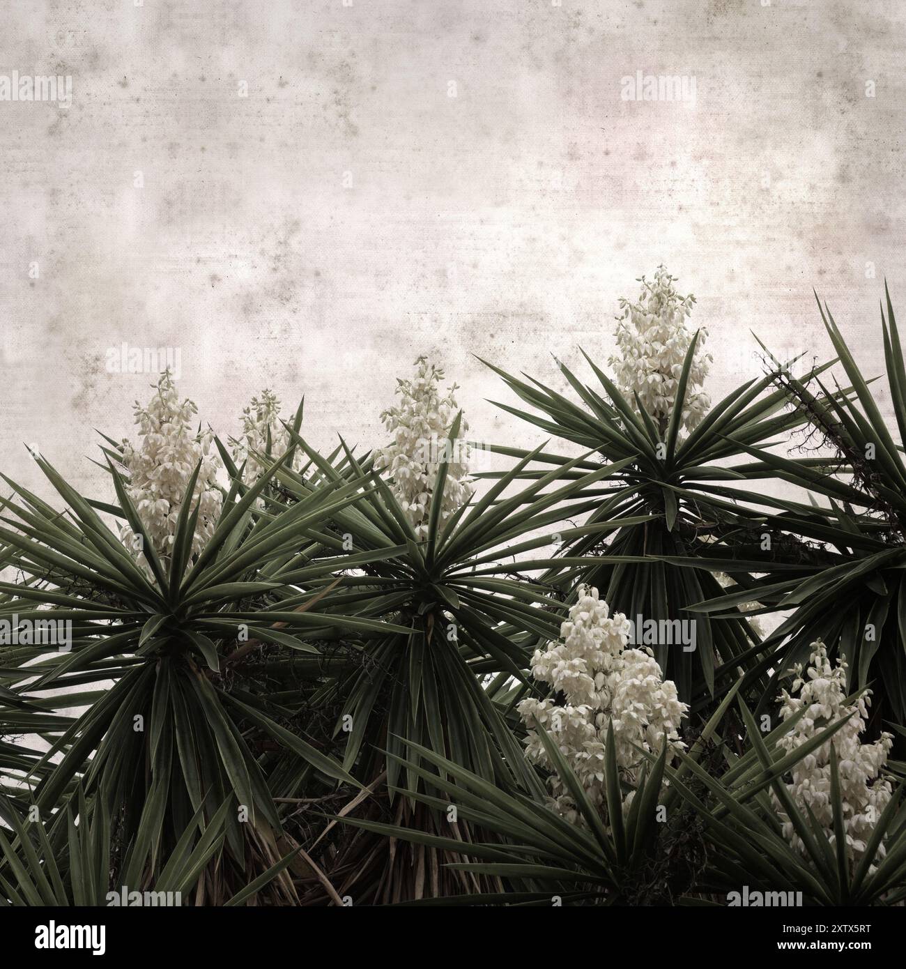 textured stylish old paper background, square Stock Photo - Alamy