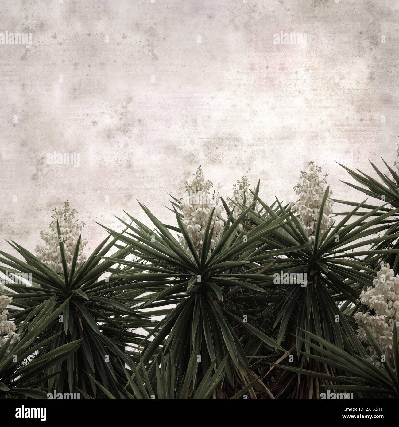 textured stylish old paper background, square Stock Photo - Alamy