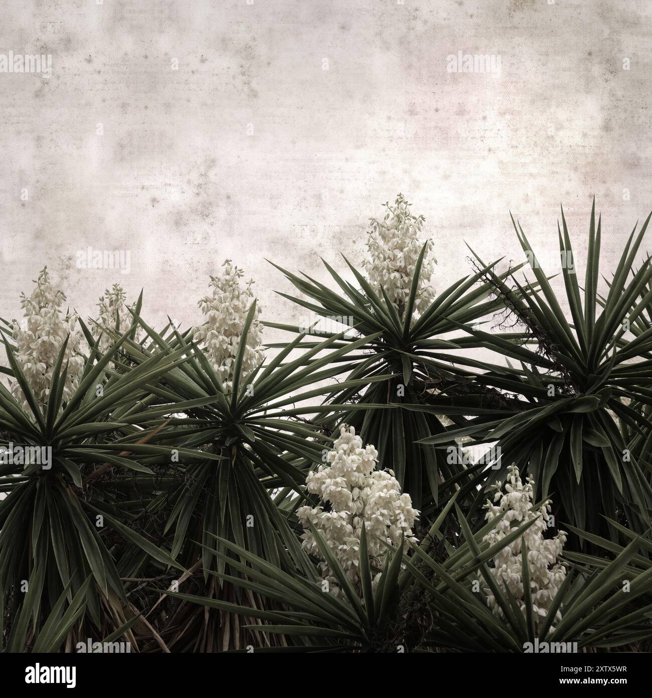 textured stylish old paper background, square Stock Photo - Alamy