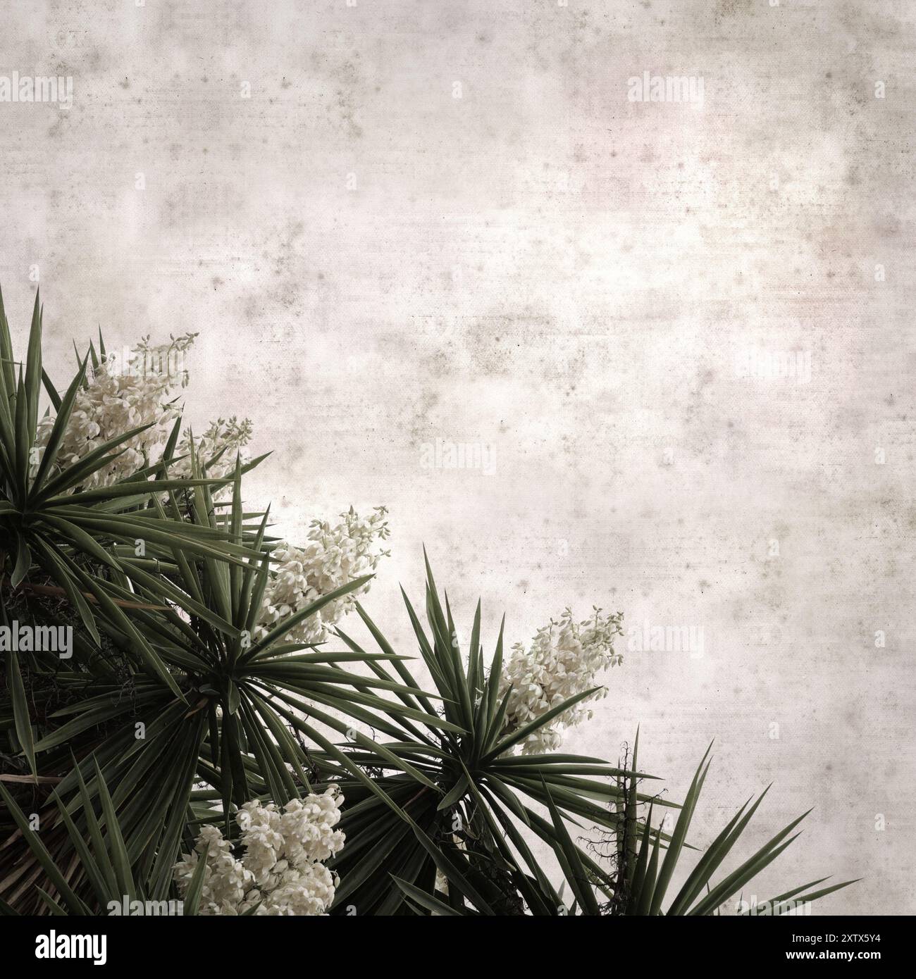 textured stylish old paper background, square Stock Photo - Alamy