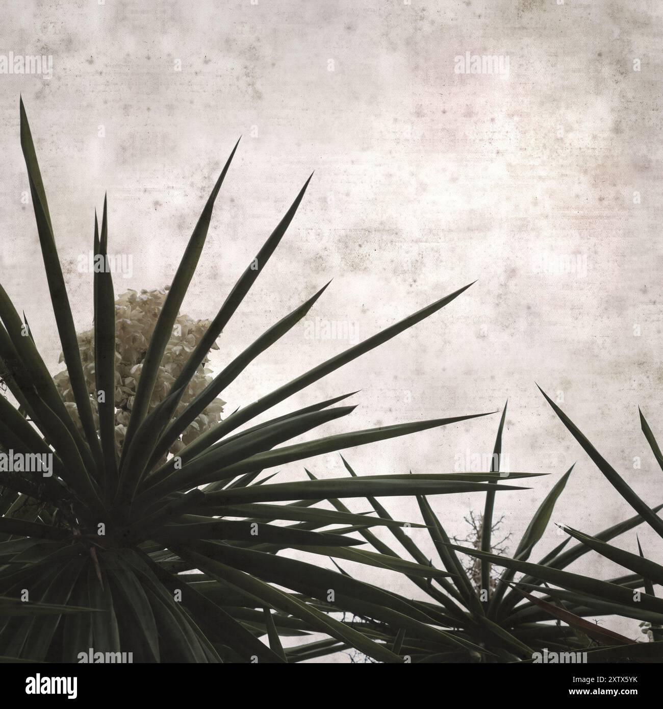 textured stylish old paper background, square Stock Photo - Alamy