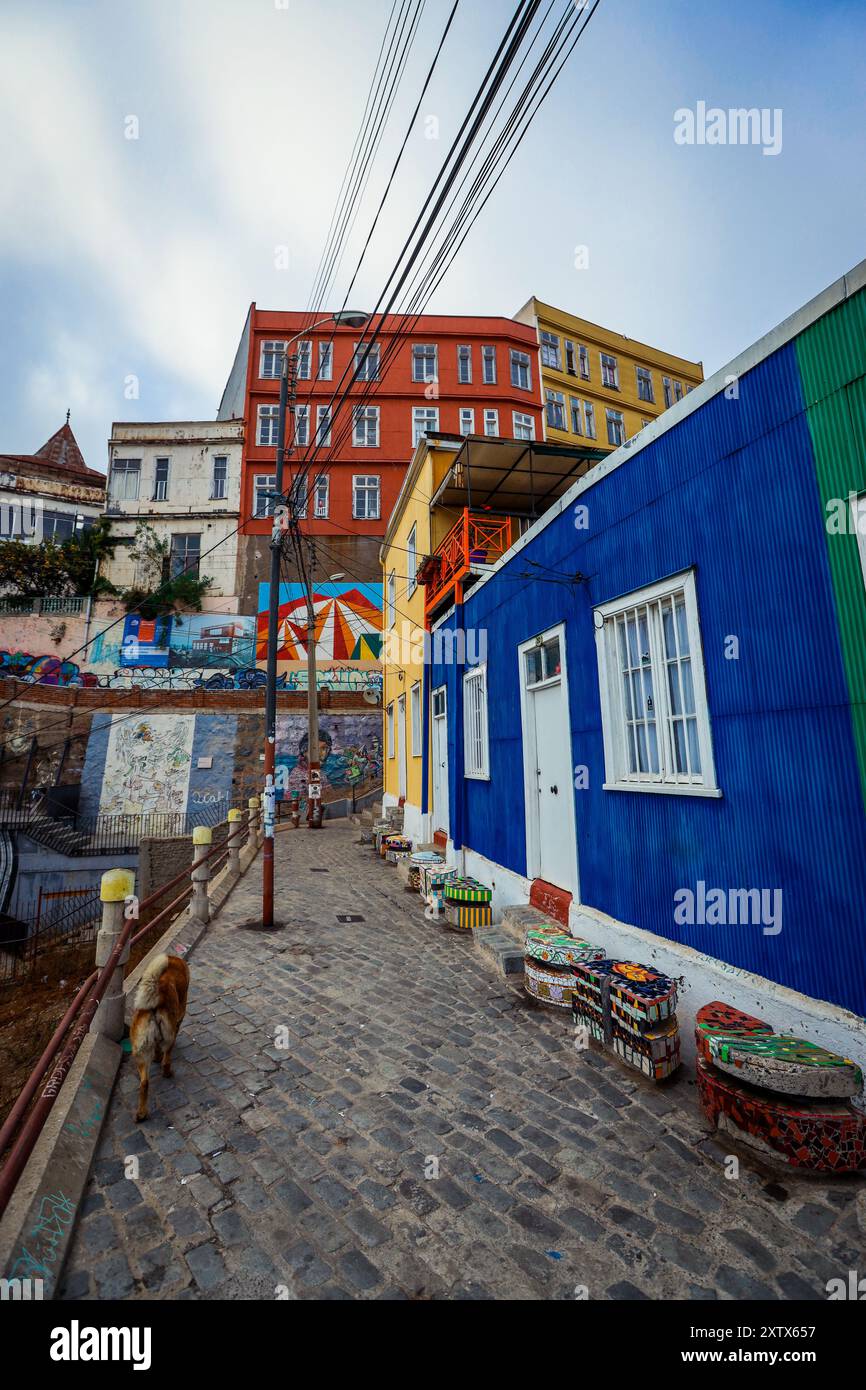 Valparaiso, Chile - March 08, 2020: Multi Colored Buildings with Bright ...