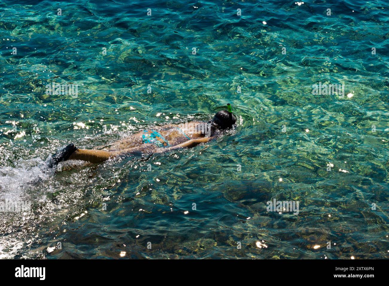 Young woman snorkeling in transparent shallow sea. Young woman ...