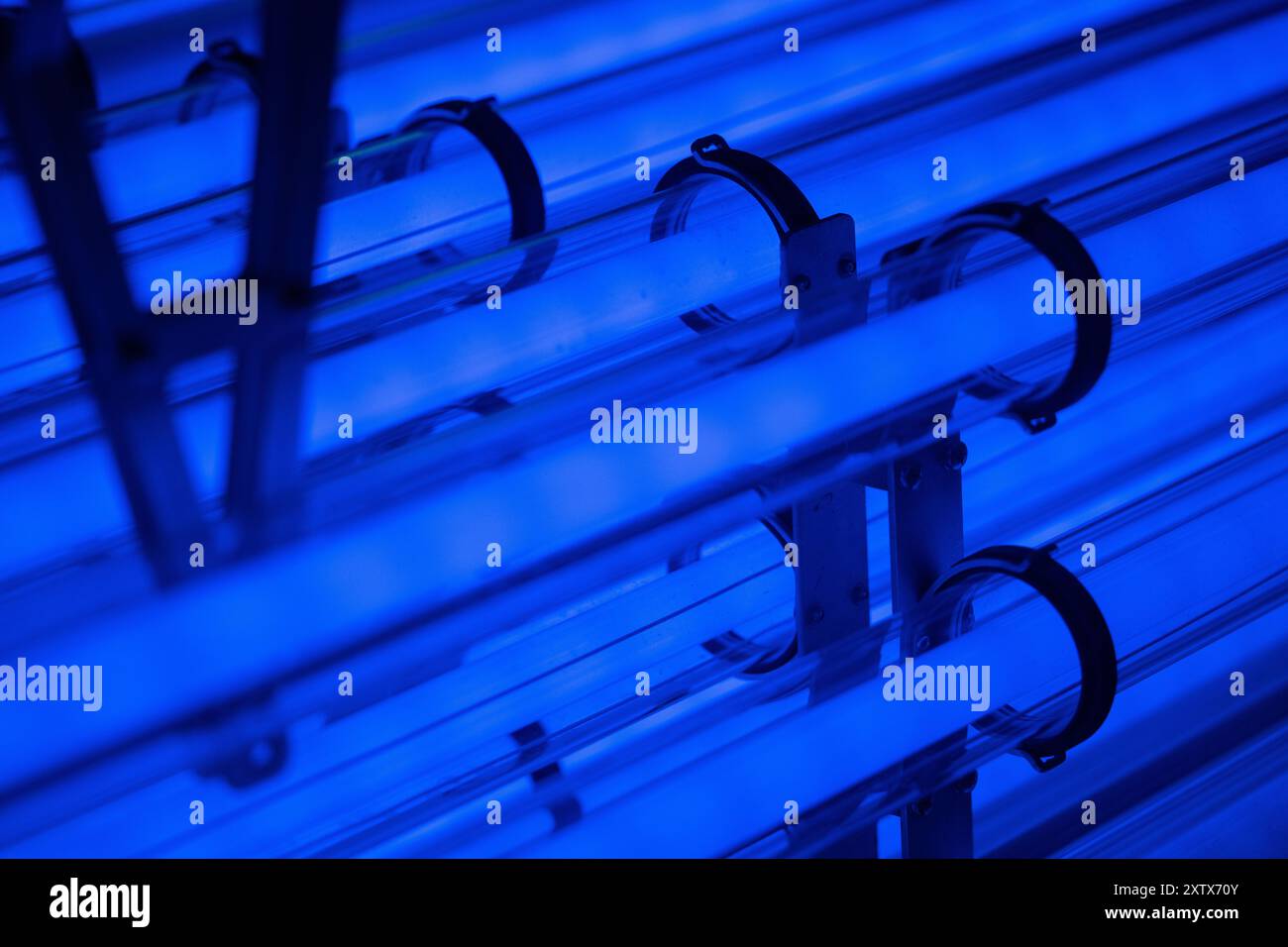 16 August 2024, Berlin: The model of wastewater treatment with UV light ...