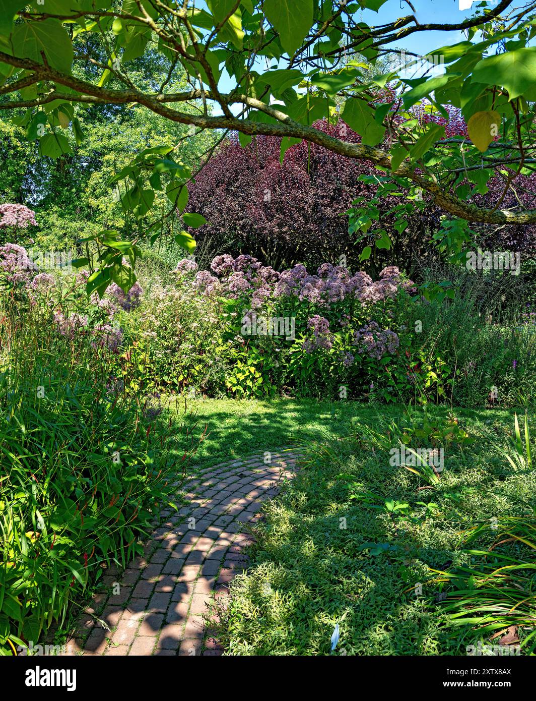 path made from bricks in an ornamental garden with light and shadow at ...