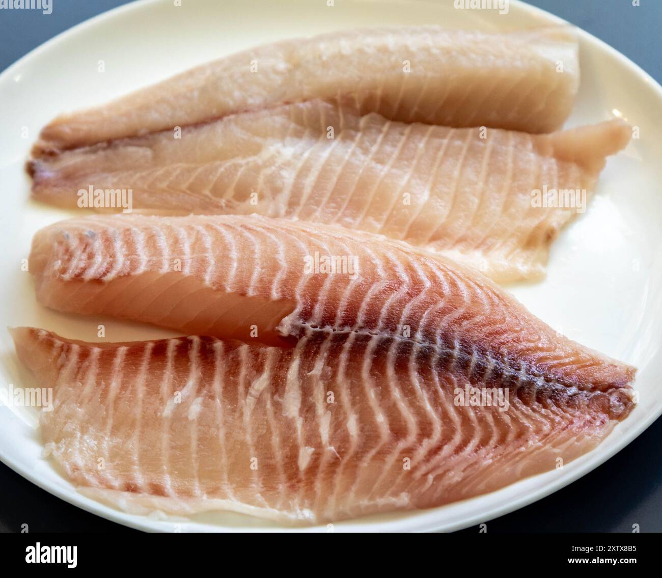 Oreochromis niloticus hi-res stock photography and images - Alamy