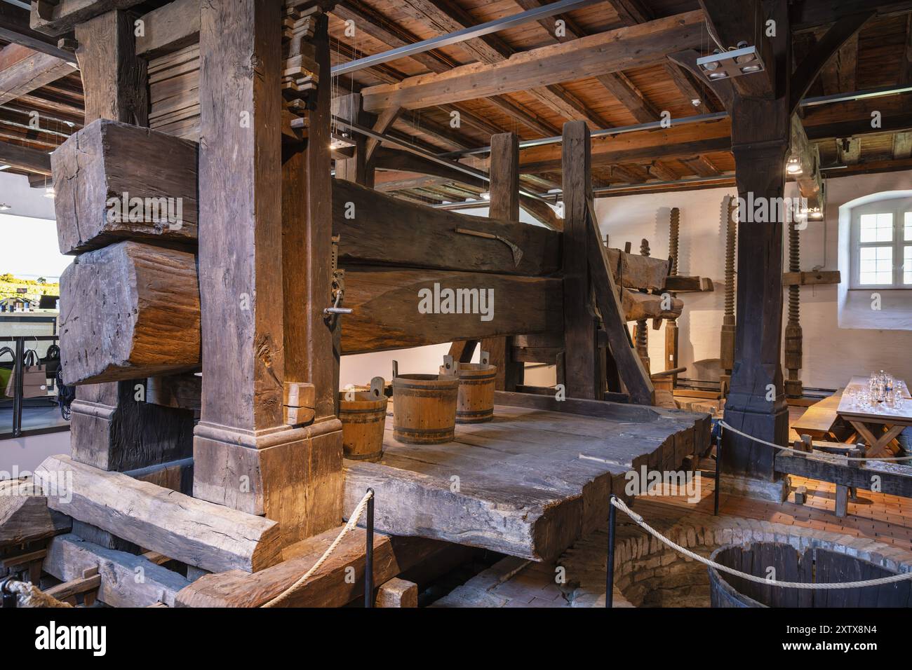 An 11 metre tree hi-res stock photography and images - Alamy