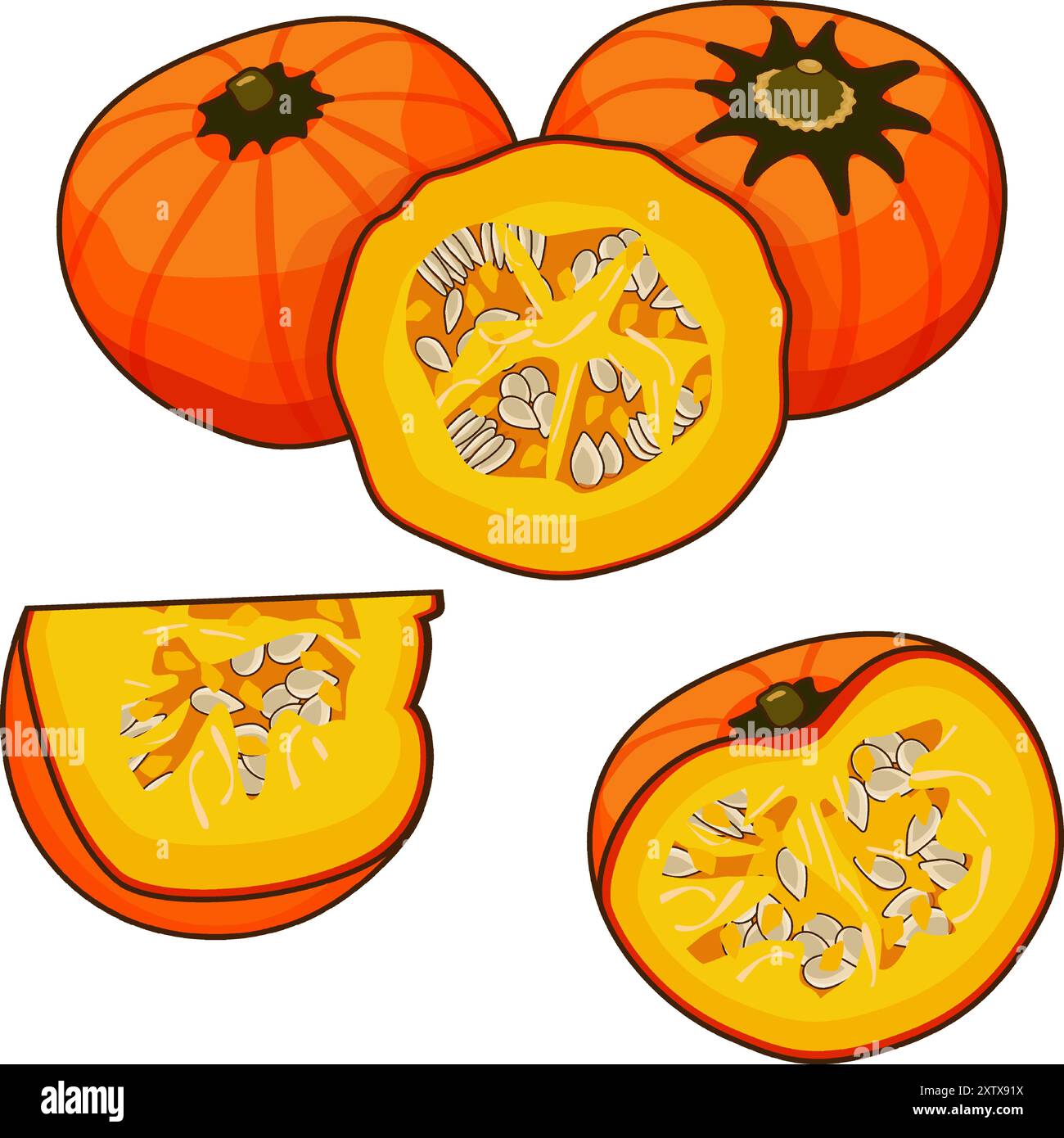 Ripe orange chopped pumpkin Stock Vector Images - Alamy