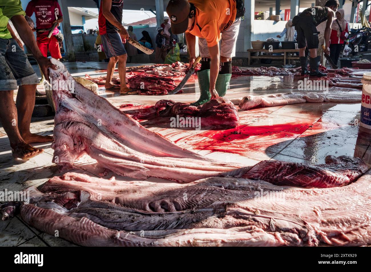 Tanjung Luar Fish market, Luar Cape, Lombok, Indonesia, Asia Stock ...