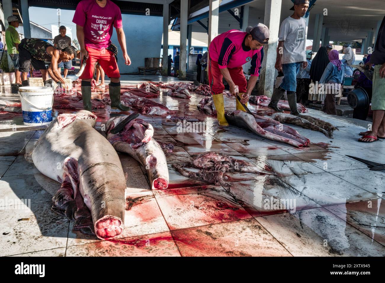 Tanjung Luar Fish market, Luar Cape, Lombok, Indonesia, Asia Stock ...