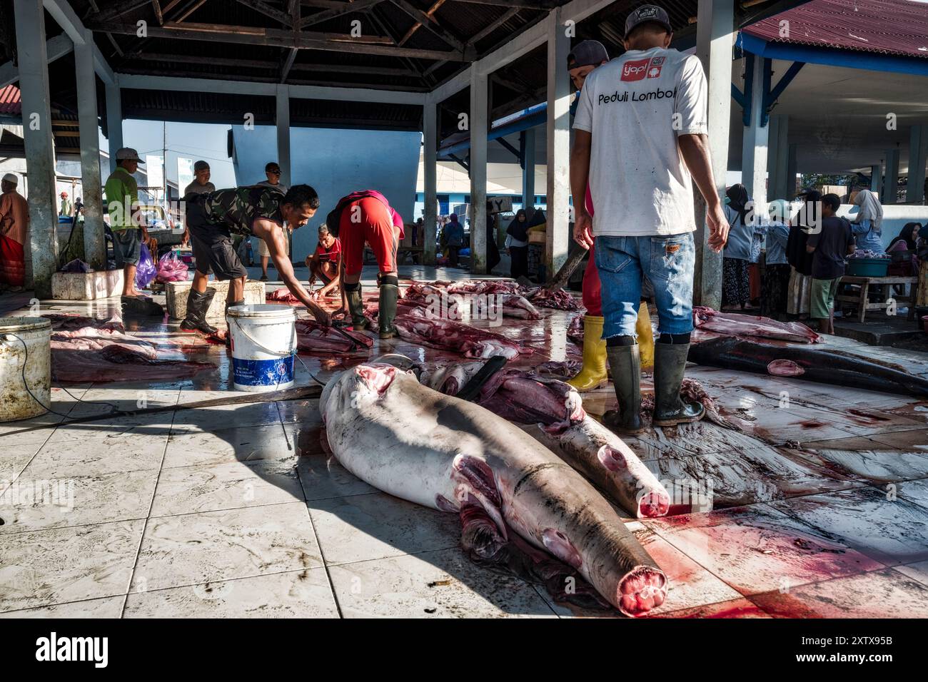 Tanjung Luar Fish market, Luar Cape, Lombok, Indonesia, Asia Stock ...