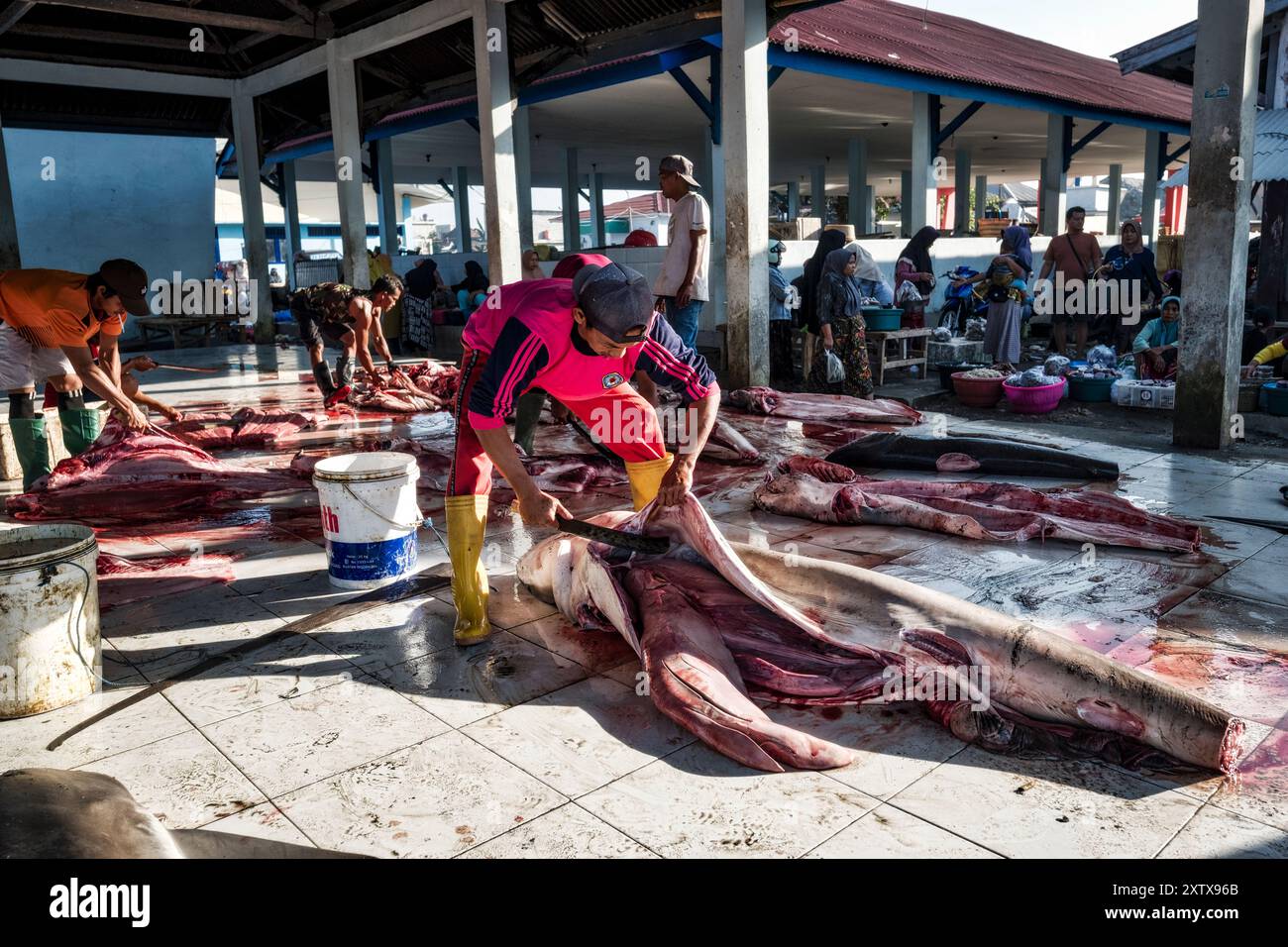 Tanjung luar fish market hi-res stock photography and images - Alamy