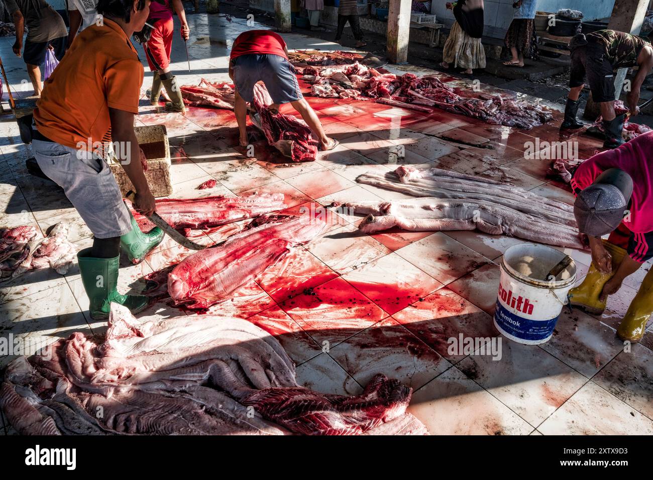 Tanjung luar fish market hi-res stock photography and images - Alamy