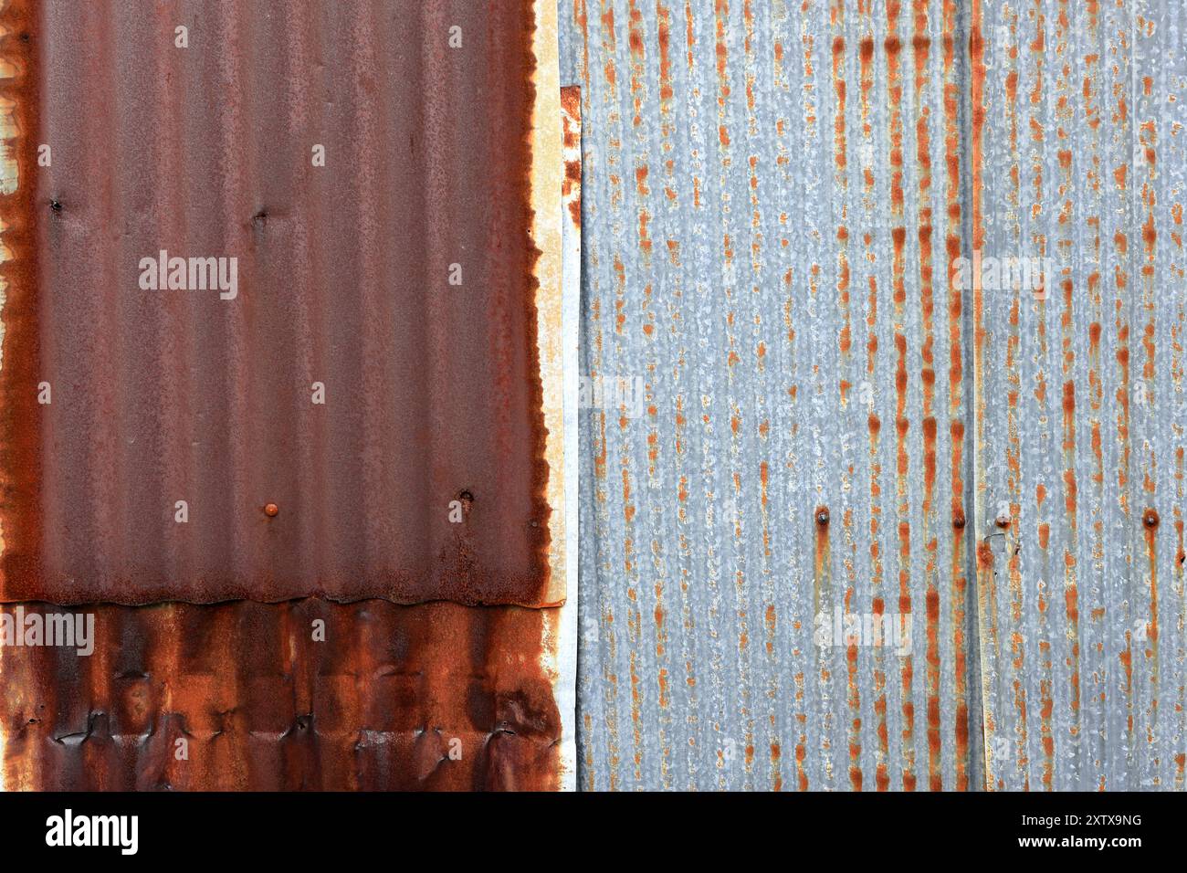 Old Galvanized Iron, Grunge rusted metal texture, under white paint ...