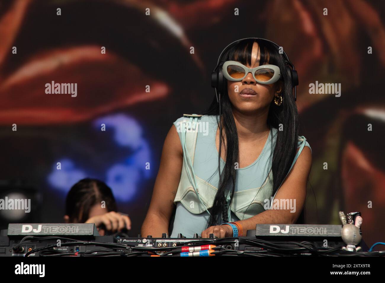 Kittycash hi-res stock photography and images - Alamy