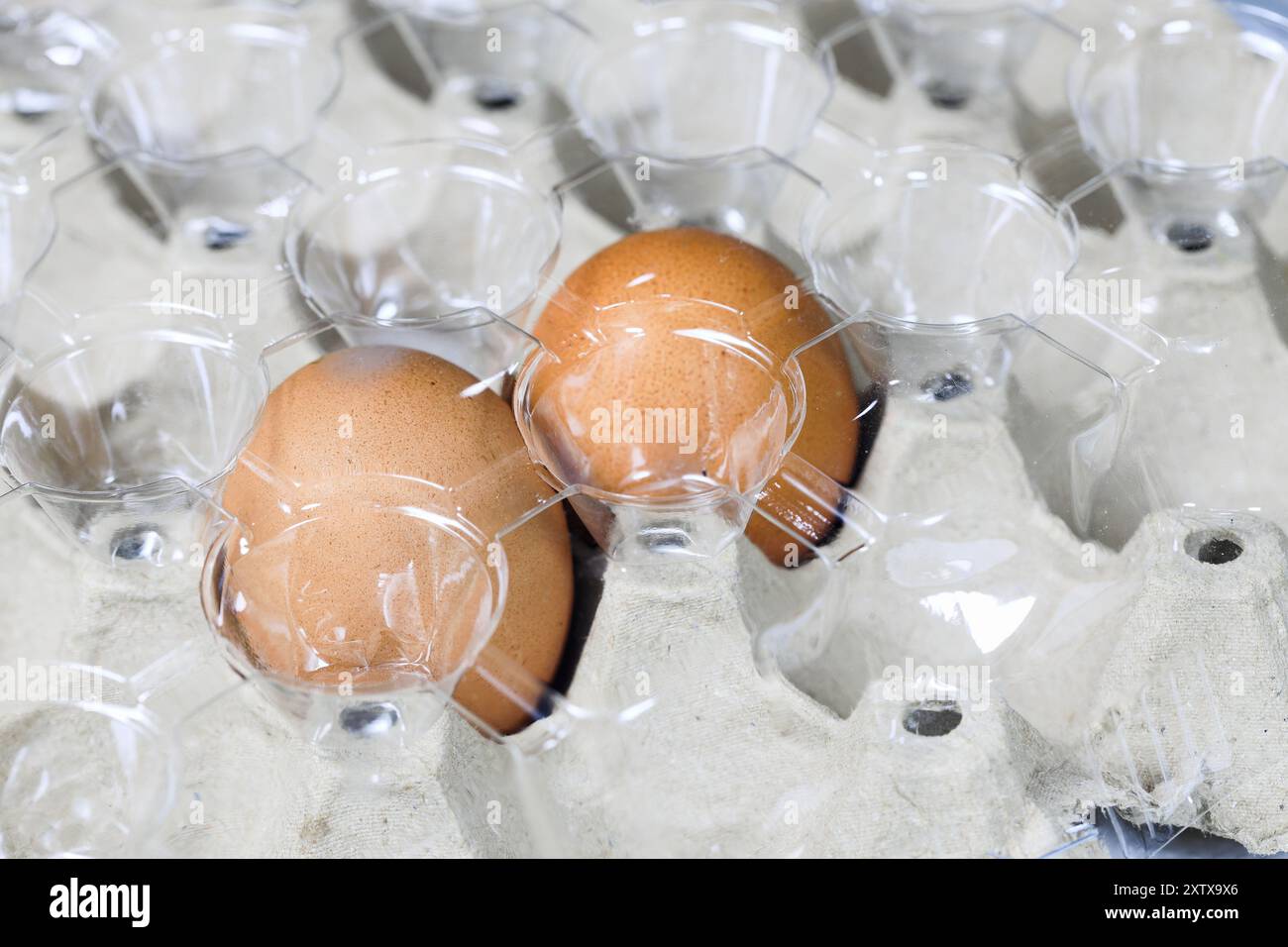 Couple of chicken eggs in Polyethylene terephthalate (PET or PETE ...