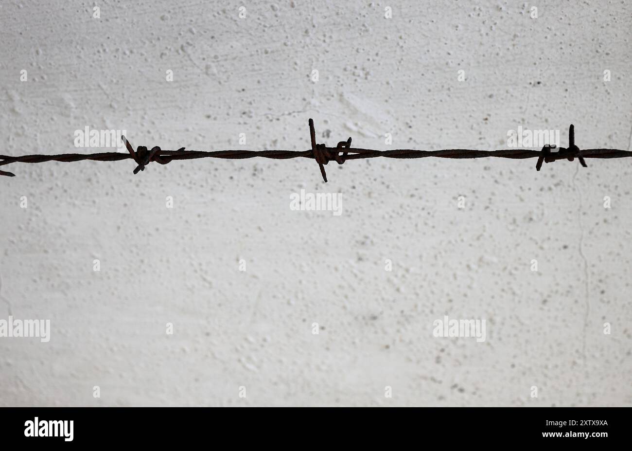 Barb wire and Grey Polished concrete Grunge textured wall background ...