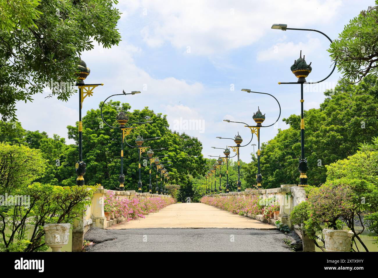 Lush tropical pathway hi-res stock photography and images - Alamy