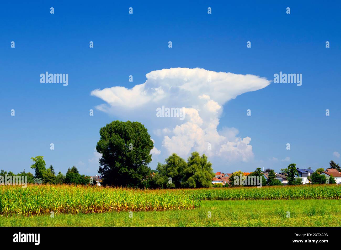 Cumulonimbus Capillatus Incus