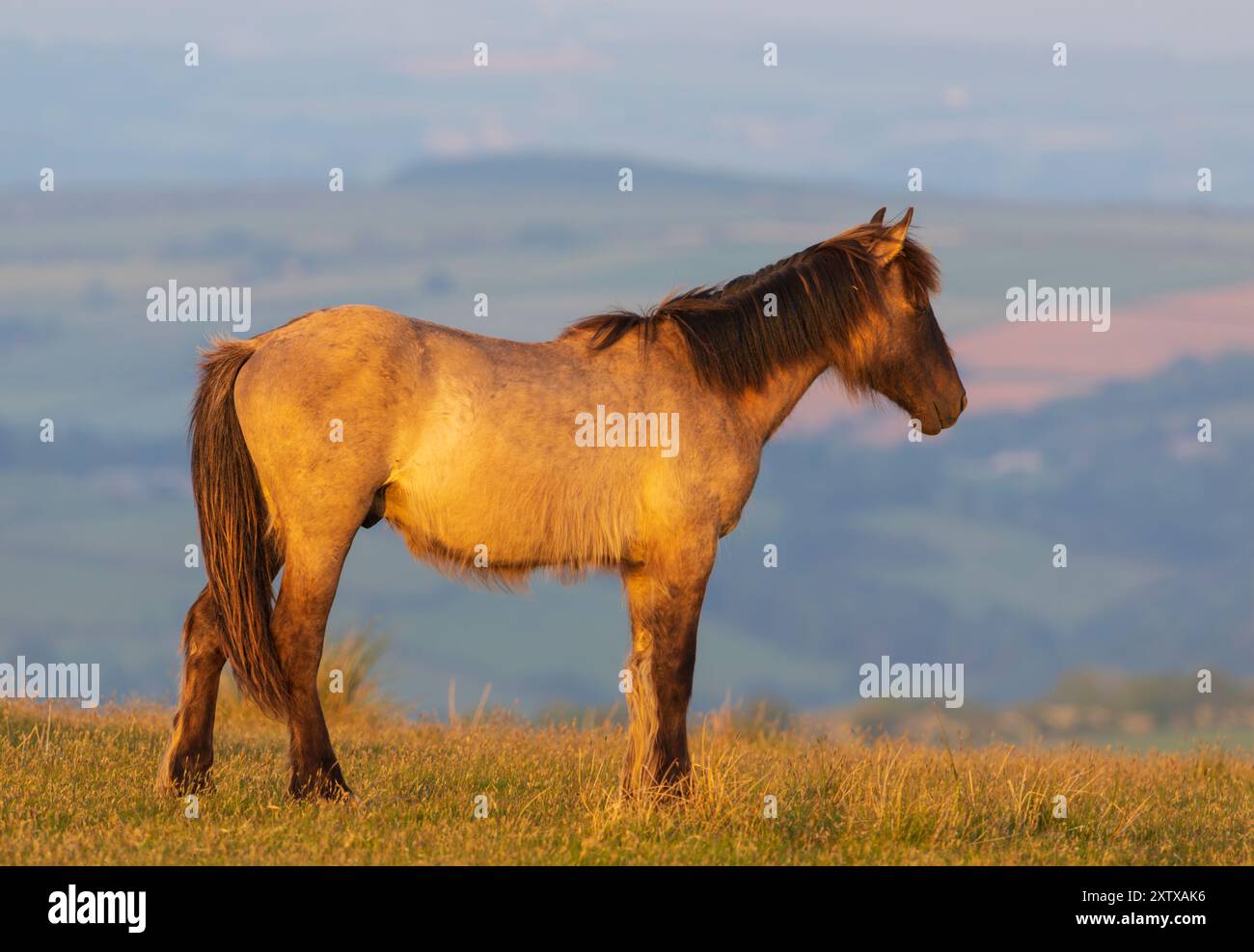 Caradon hi-res stock photography and images - Alamy