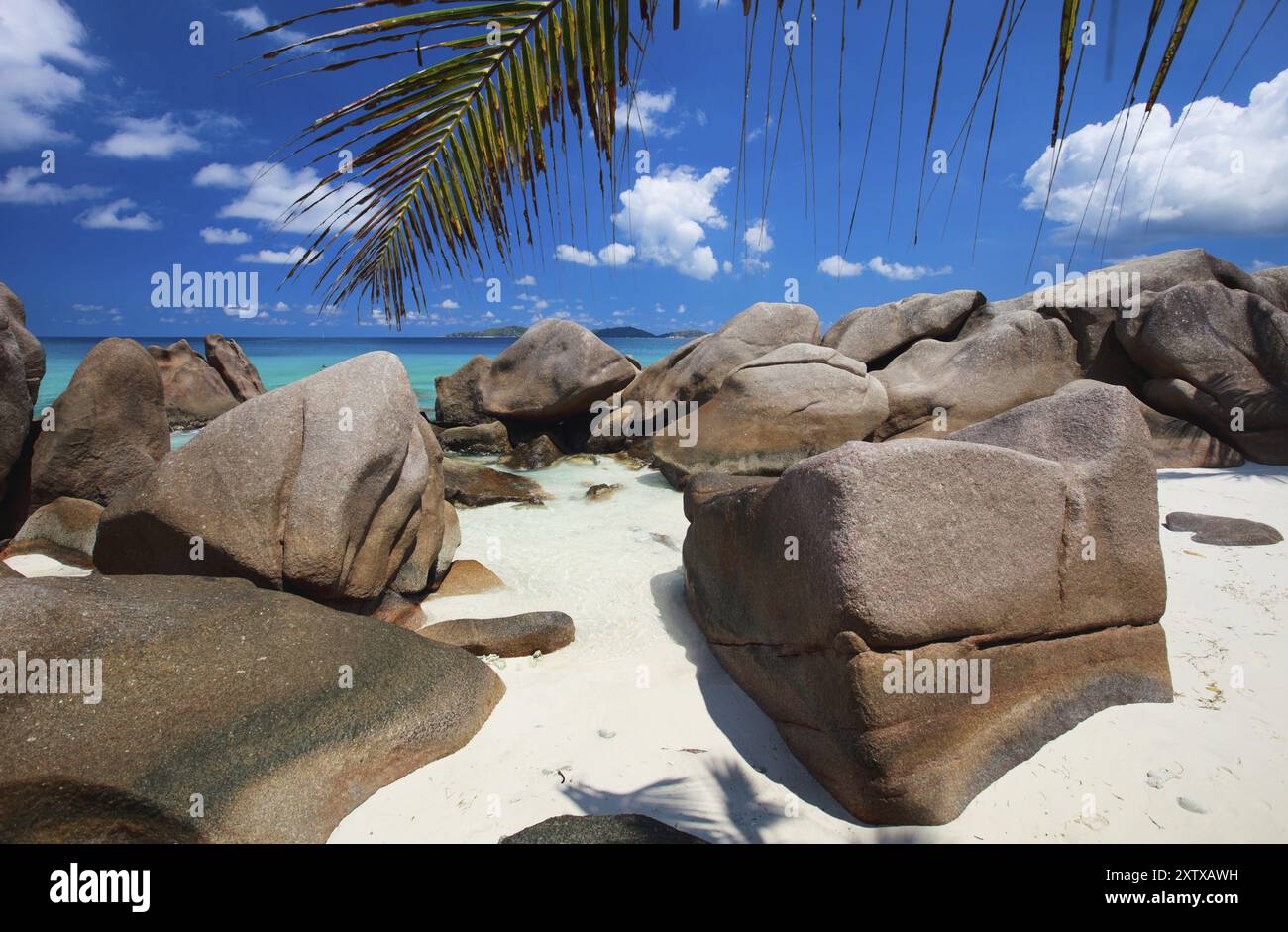 La Digue, Palm tree beach, Seychelles, Indian Ocean, Palm trees, La ...
